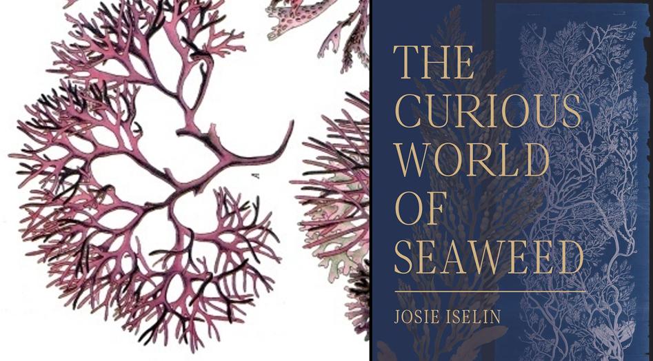 Shop Books at Heritage Seaweed | Heritage Seaweed