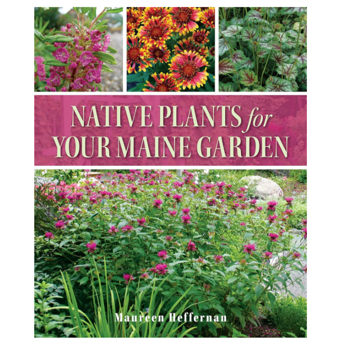 Native Plants for Your Maine Garden by Maureen Heffernan – Heritage Seaweed