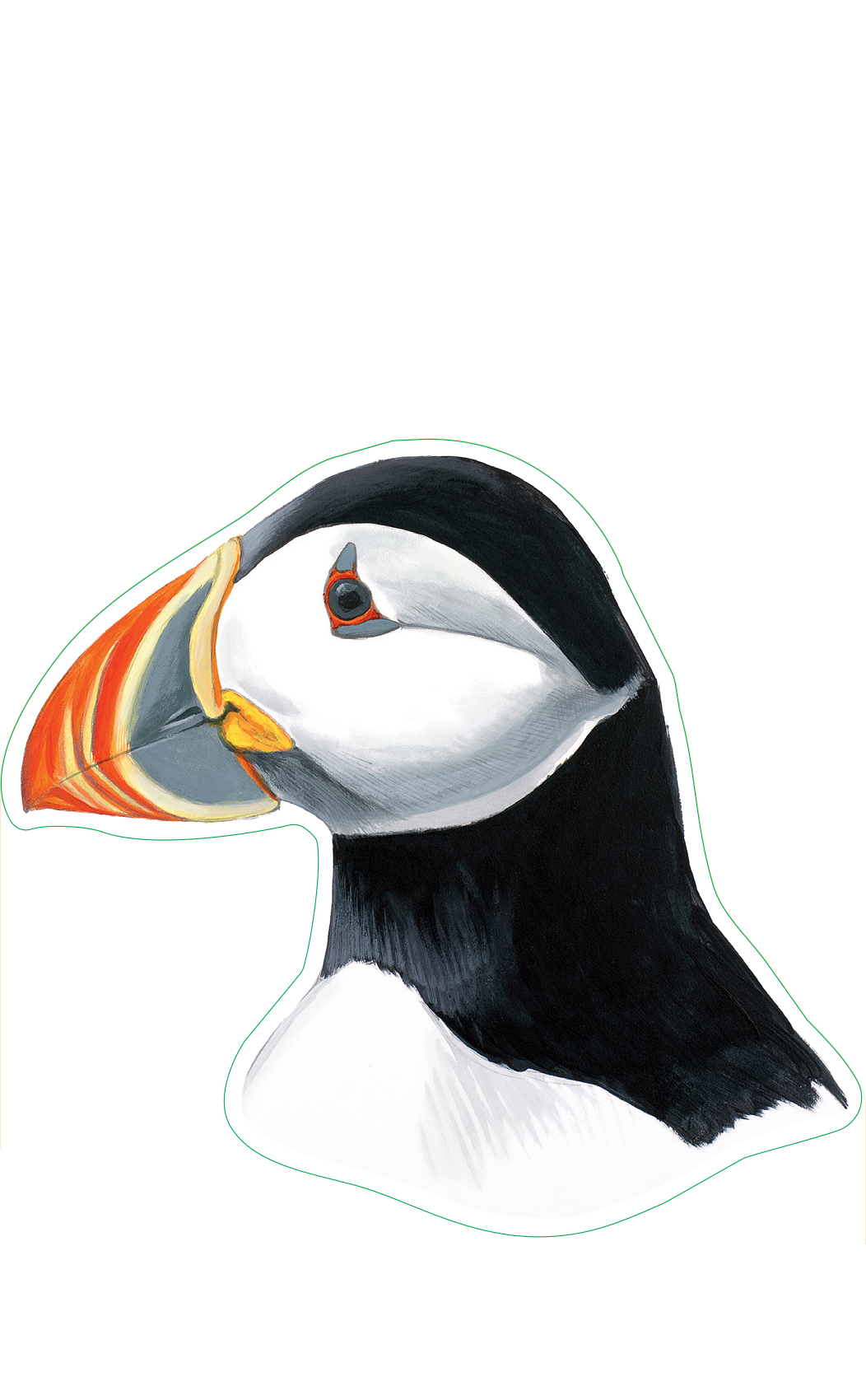 Atlantic Puffin Sticker – Heritage Seaweed