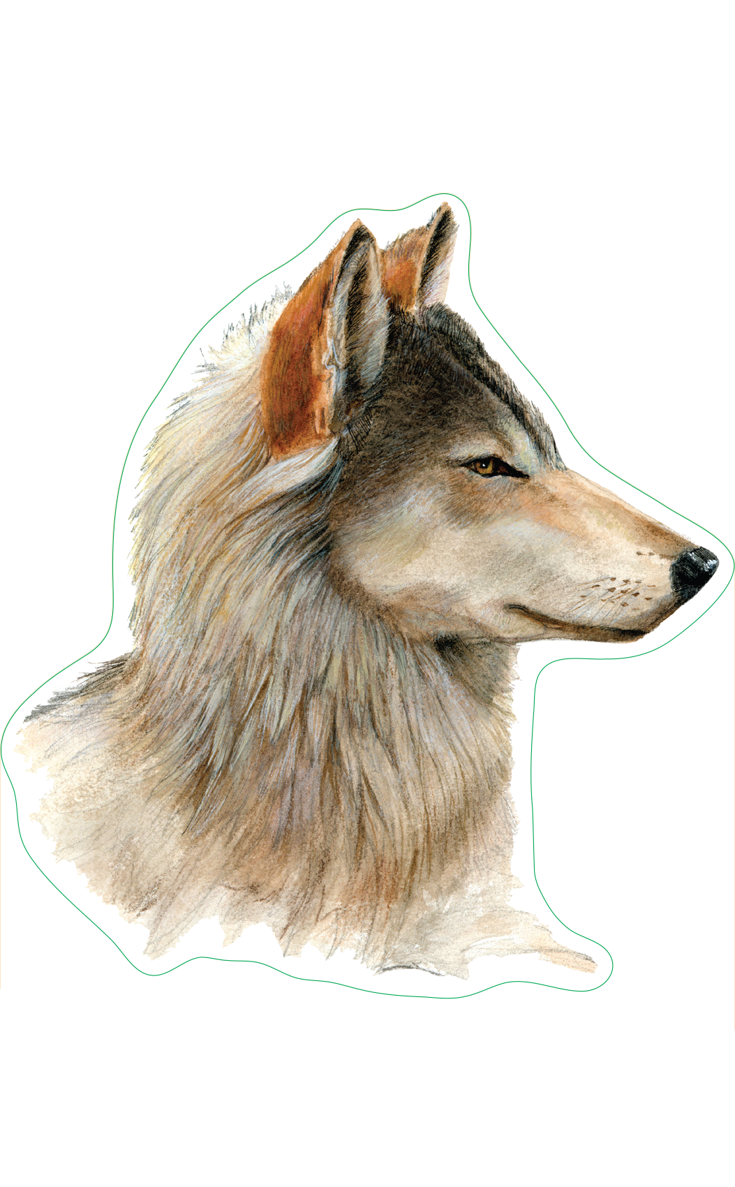Gray Wolf Sticker – Heritage Seaweed