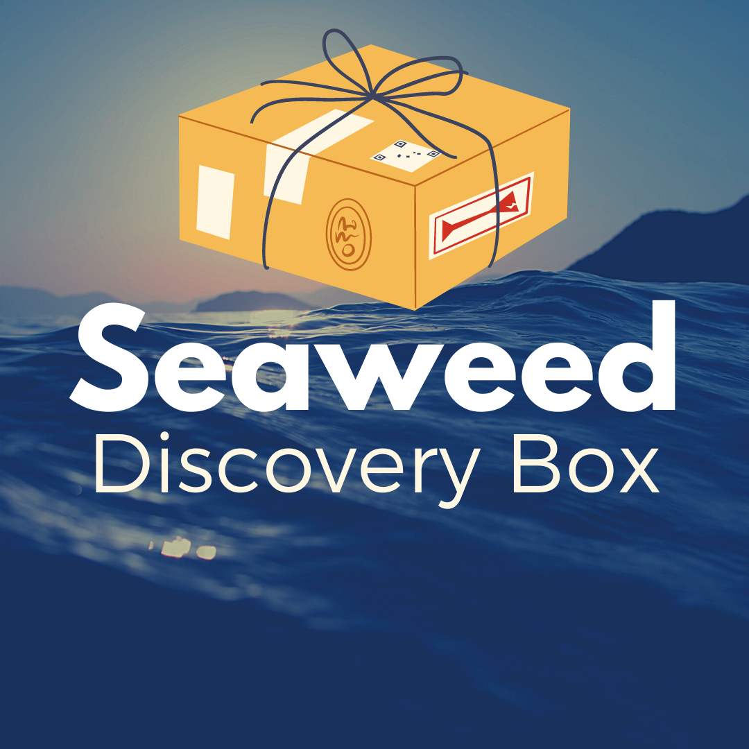 Seaweed Discovery Box | Heritage Seaweed